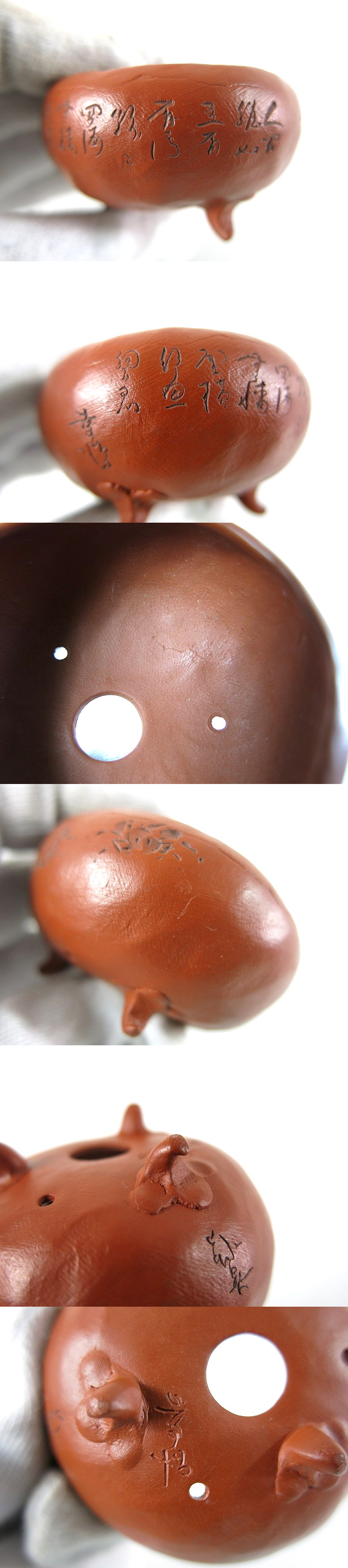 日本代購代標第一品牌【樂淘letao】－R641 未使用 在銘 蟹図 小品盆栽 間口約4.6cm【説明欄に詳細写真有り】